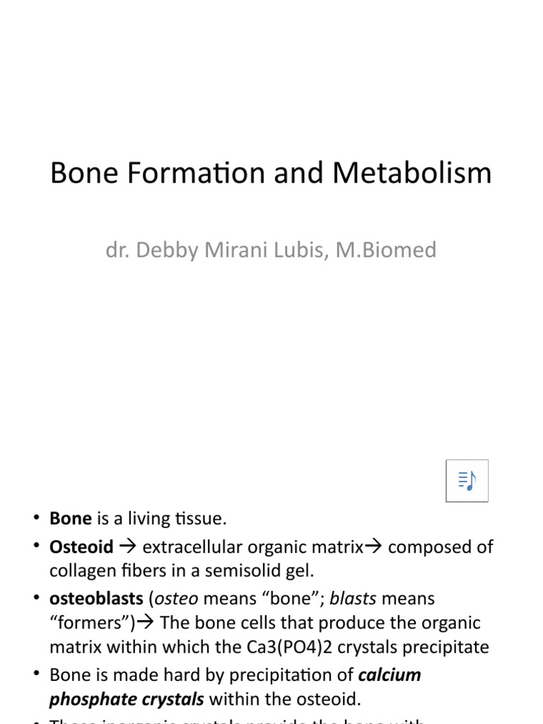 Bone Formation and Remodeling Overview | PDF | Bone | Osteoblast