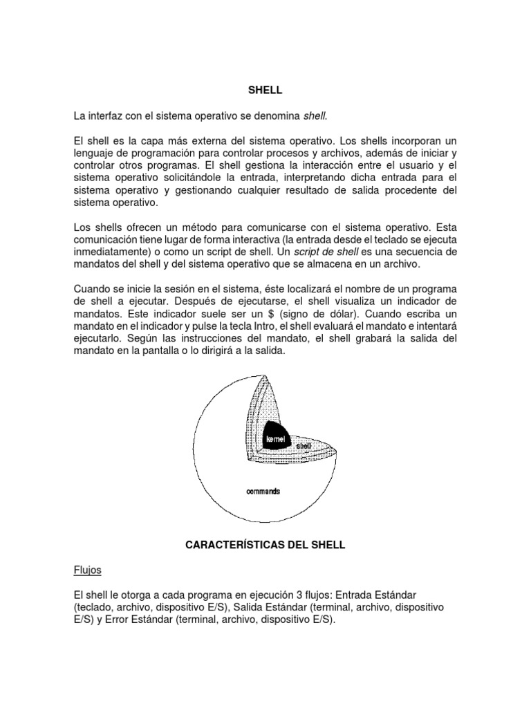 Tipos Shell | PDF | Interfaz de línea de comando | Sistema operativo