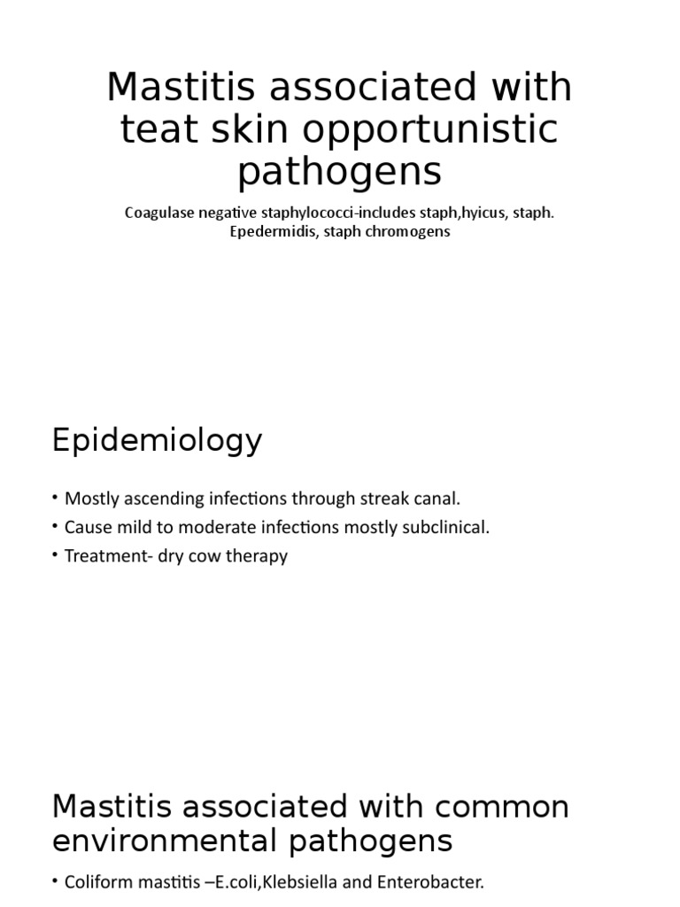 Mastitis Associated With Teat Skin Opportunistic Pathogens | PDF ...