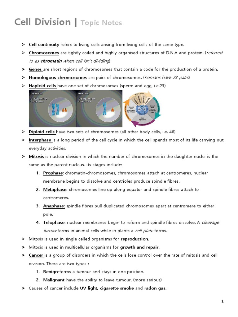 Cell Division - : Topic Notes | PDF | Wellness | Science & Mathematics