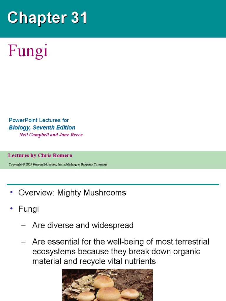 Fungi Pdf Fungus Sexual Reproduction