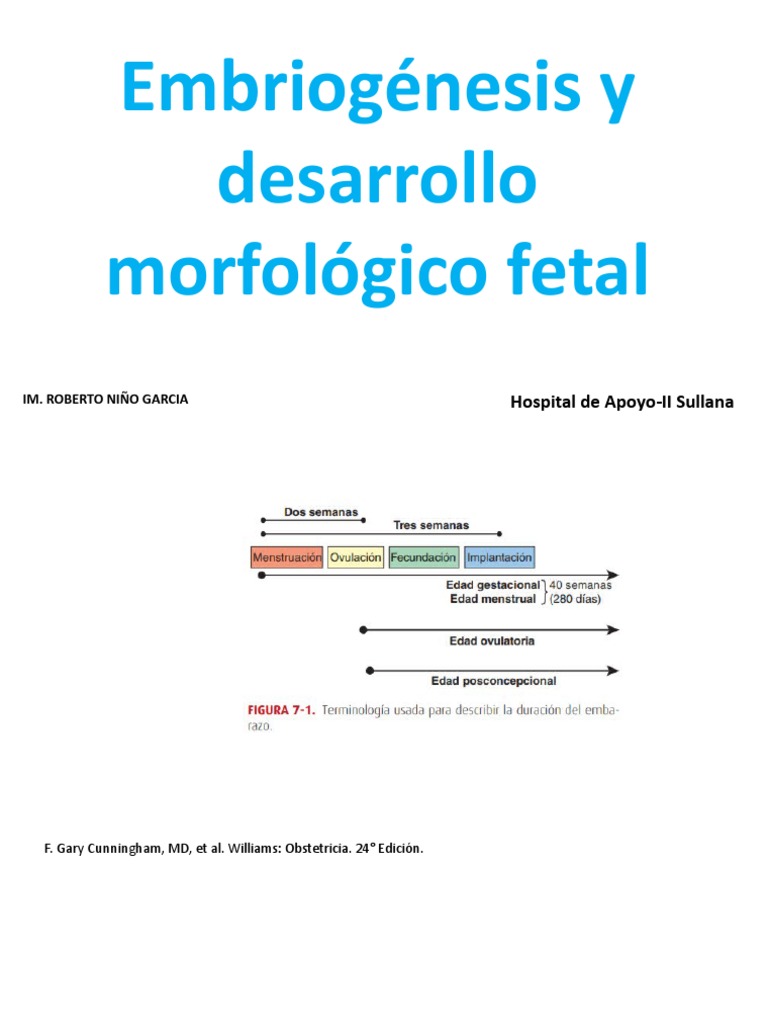 Embriogenesis y Desarrollo Morfologico Fetal | PDF | Placenta | Trombo