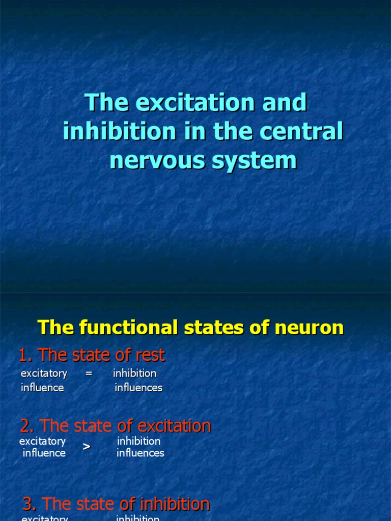 The Excitation and Inhibition in The Central Nervous System | Download ...