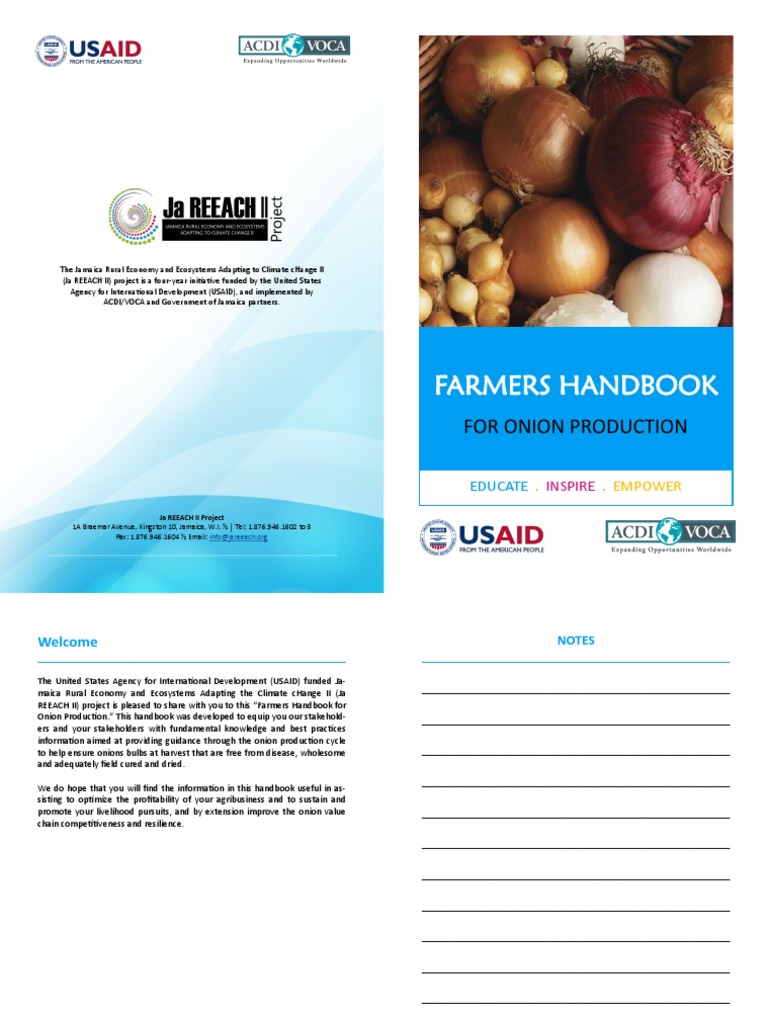 Farmer's Handbook For Onion Production PDF | PDF | Onion | Branches Of ...