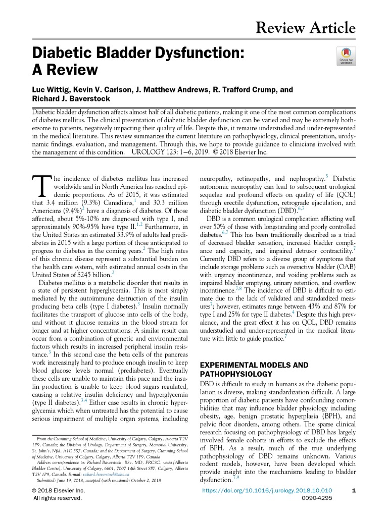 Review Article Diabetic Bladder Dysfunction: A Review | PDF | Urinary ...