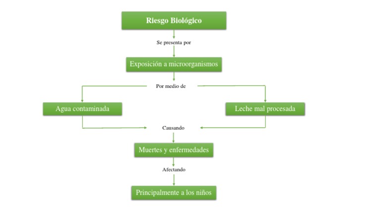 Mapa Conceptual Riesgo Biologico | PDF