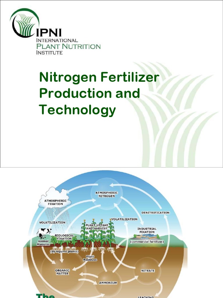 Nitrogen Fertilizer Production & Technology PDF | PDF | Urea | Ammonia