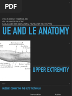 Upper Limb Mnemonics 2 | PDF | Thumb | Hand