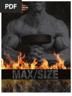 Ryan Humiston Workout - Shareable | PDF | Anatomical Terms Of Motion ...