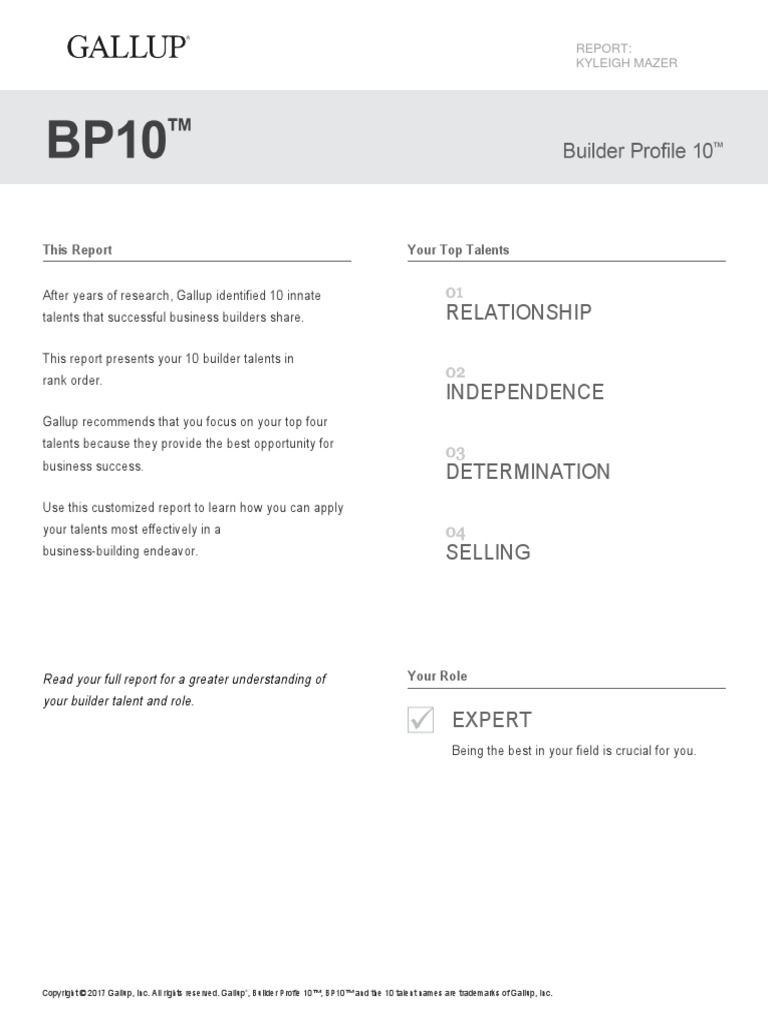 bp10 Mazer | PDF | Risk | Cognitive Science