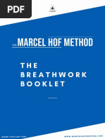 Executive Order 13818 | PDF | Common Law | Federal Government Of The ...