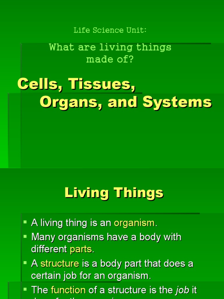 Cells, Tissues, Organs, and Systems | PDF | Organ (Anatomy) | Tissue ...