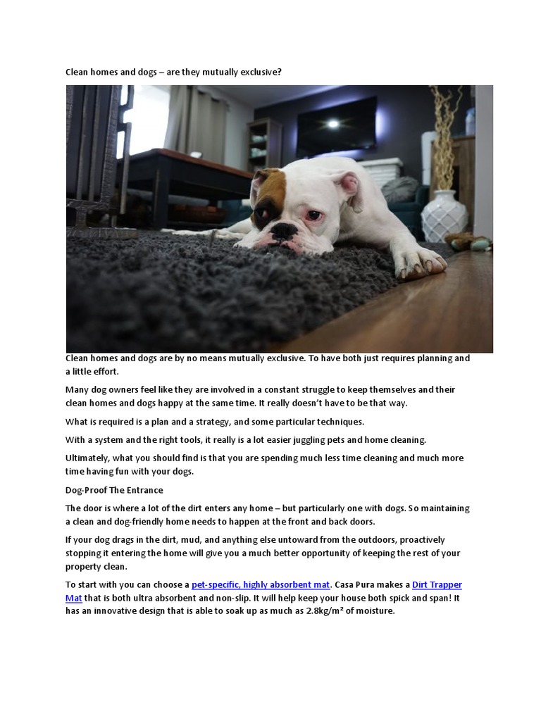 Clean Homes and Dogs - For CDPOM | PDF | Shampoo | Dogs