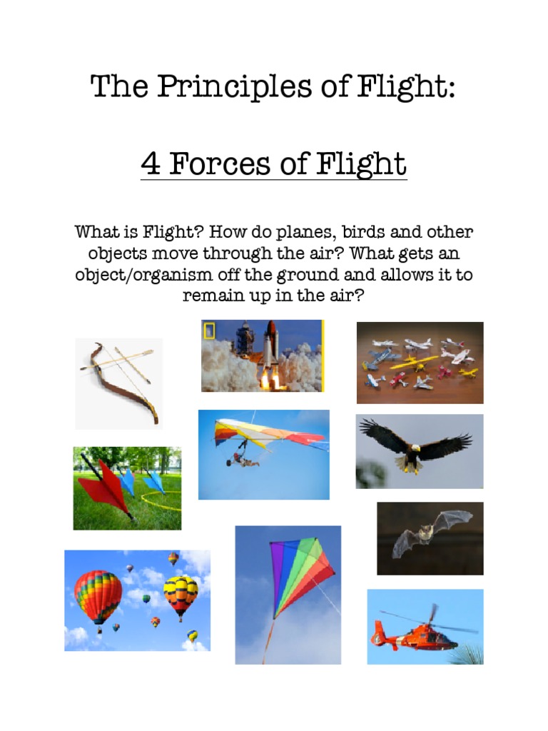 4 Forces of Flight Booklet PDF | PDF | Lift (Force) | Weight