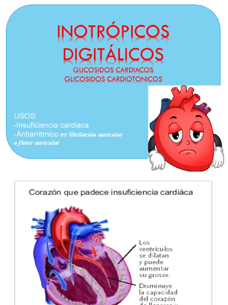 Digitalicos | PDF | Fisiología Cardiovascular | Especialidades Medicas