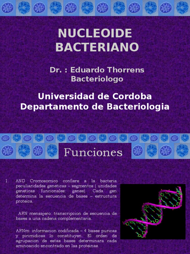 2 Nucleoide Bacteriano | PDF | Plásmido | Rna