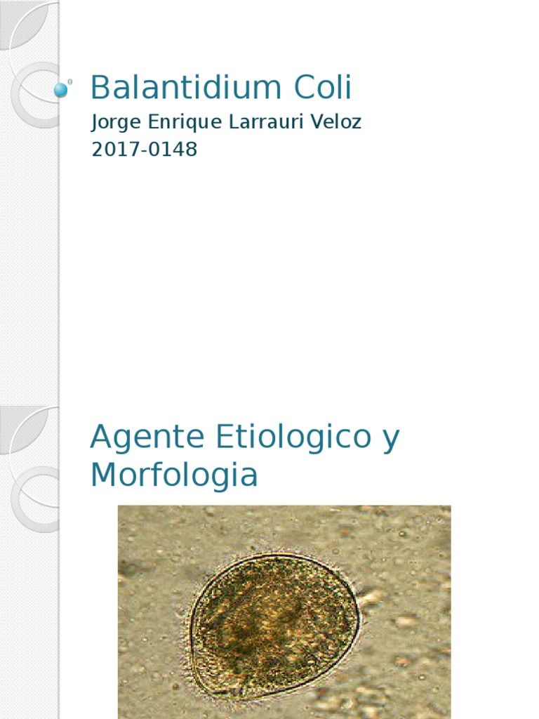 Morfología y prevención de Balantidium Coli | PDF