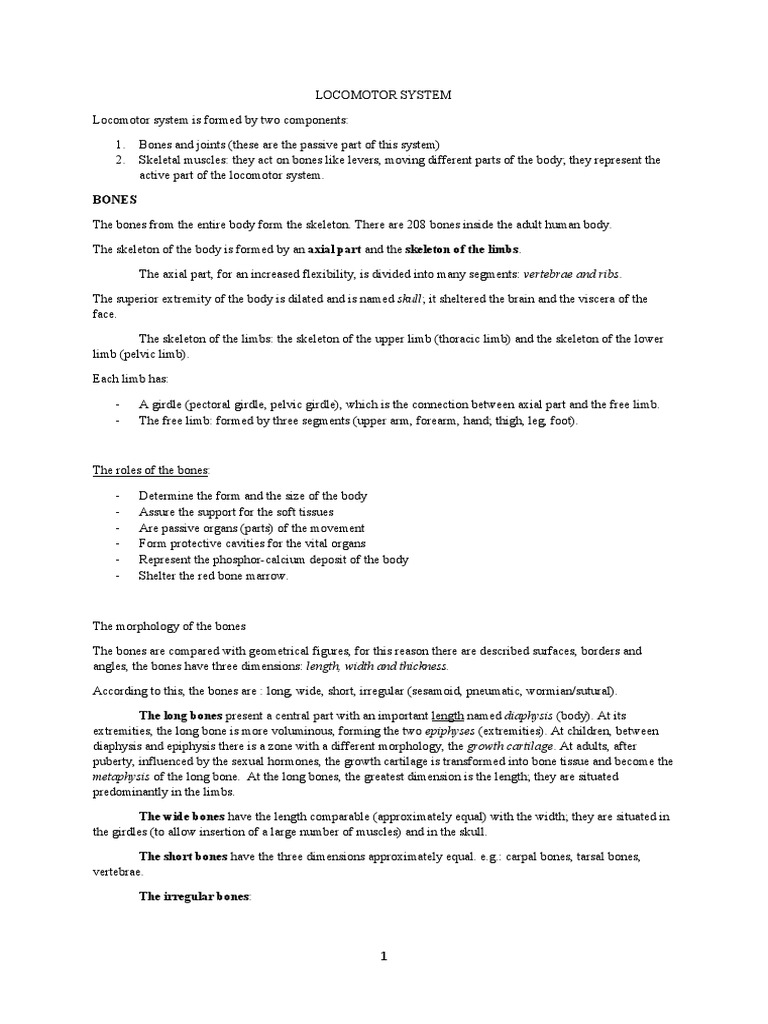 Locomotor System | PDF | Skeleton | Bone