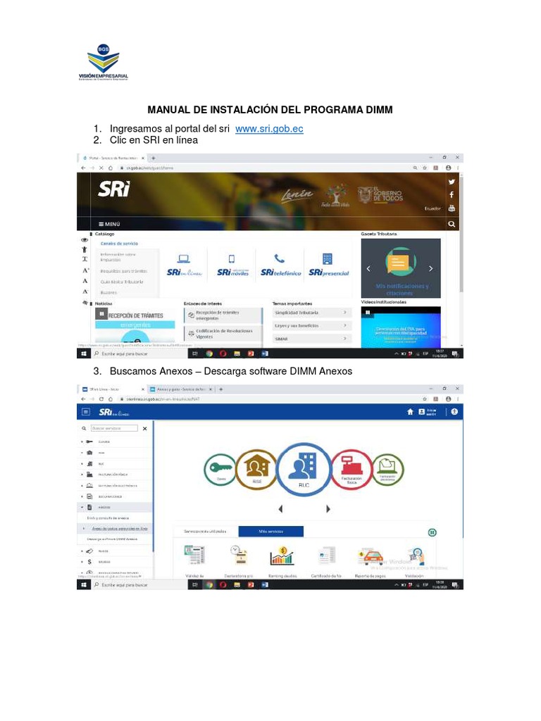 Manual de Instalación Del Programa Dimm | PDF