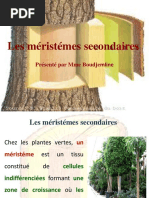 Cours 2-La Paroi Pectocellulosique PDF | PDF | Paroi cellulaire | Lignine