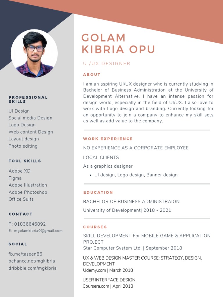 Blue and Brick Red Geometric Modern Resume | PDF