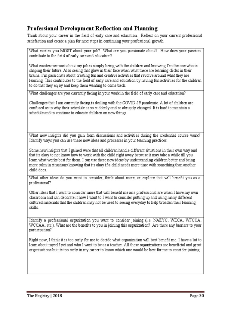 Professional Development Reflection and Planning | PDF | Goal | Mentorship