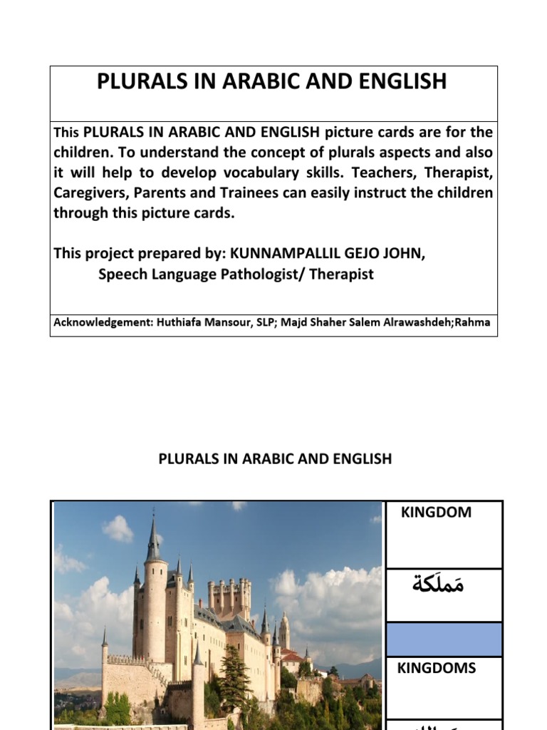 Plurals in Arabic and English | PDF | Arabic | English Language