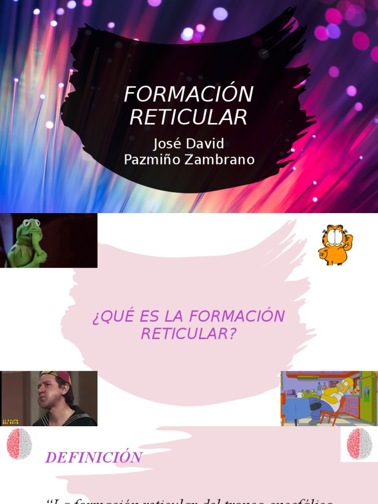 Formación Reticular Pdf Cerebelo Tálamo