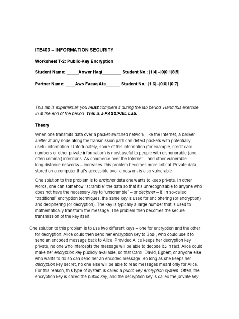 Public-Key Encryption Lab Worksheet | PDF | Cryptography | Encryption
