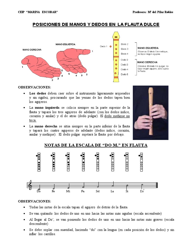 Posiciones de Manos y Dedos en La Flauta Dulce Notas de La Escala de | PDF