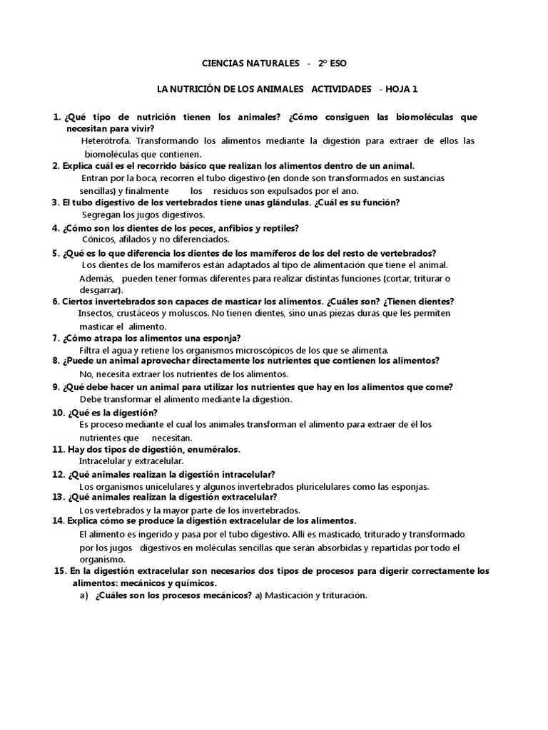Tipos de Nutrición en Animales | PDF | Digestión | Sistema digestivo humano