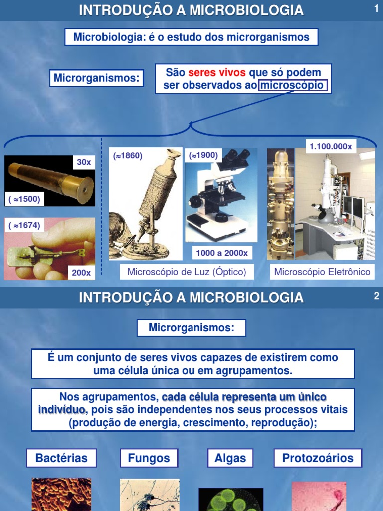 Uma Introdução à Microbiologia: Microrganismos, Agentes Infecciosos ...