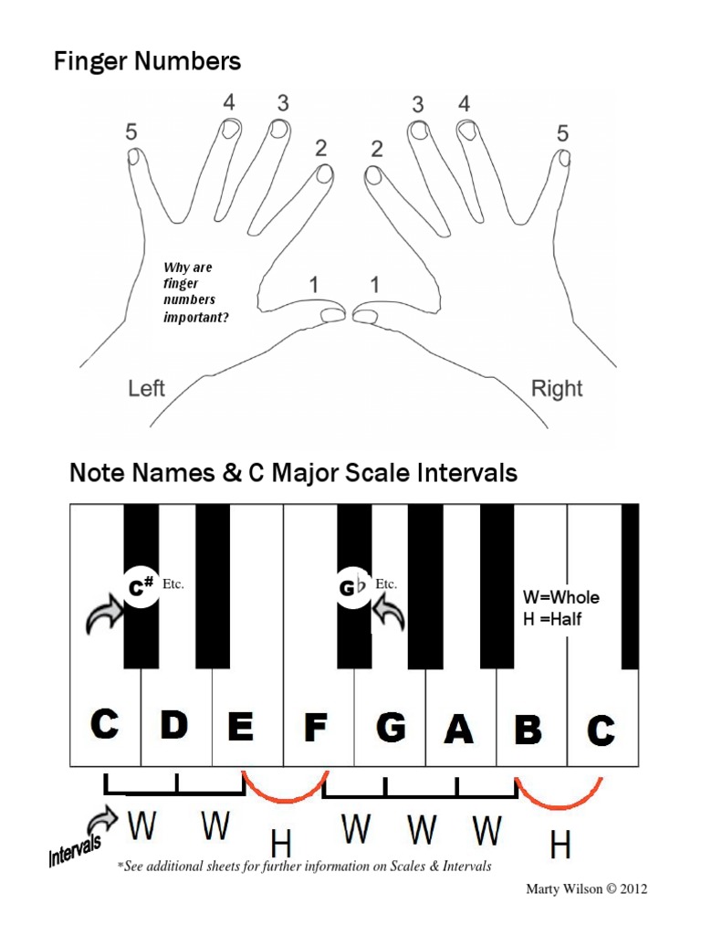 MB - Finger Numbers, Etc | PDF