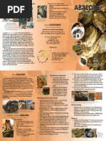 Common Edible Molluscs in the Philippines | PDF | Molluscs
