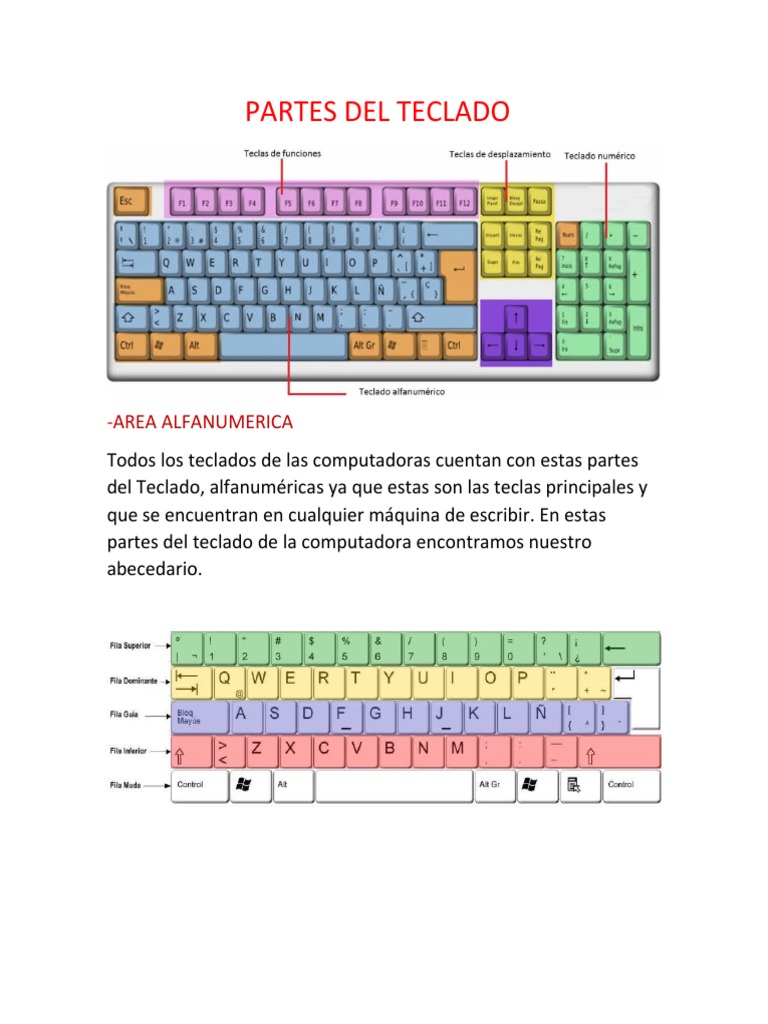 Partes Del Teclado | PDF | Teclado | Microsoft