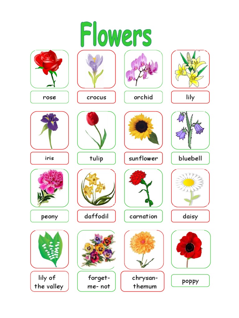 Flowers Classroom Posters Fun Activities Games Picture Des - 62833 | PDF