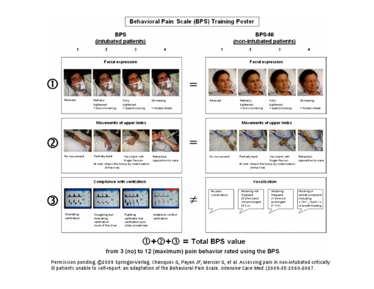 Adaptation of Behavioral Pain Scale for ICU | PDF