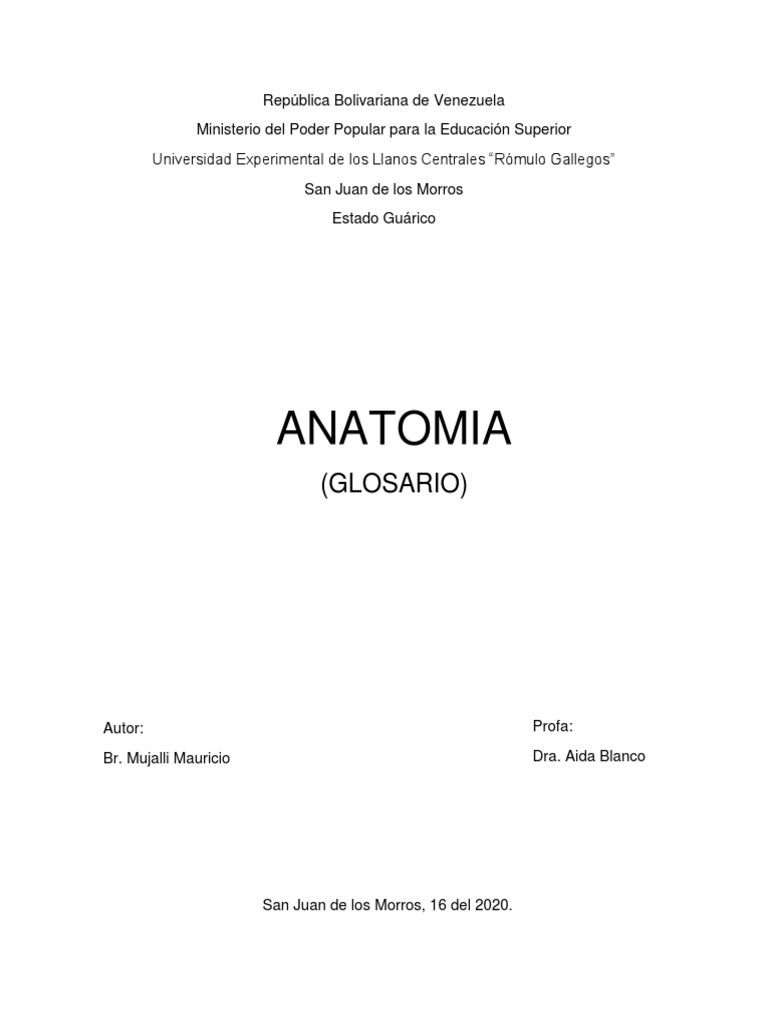 Glosario De Anatomía Humana Pdf Hueso Tórax