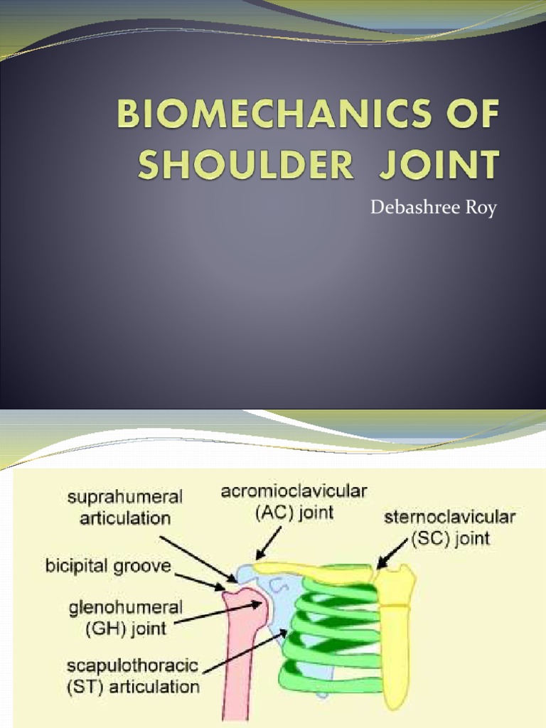 Biomechanics of Shoulder PDF | PDF | Anatomical Terms Of Motion | Dance ...