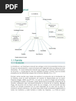 La Familia Sindiásmica en la Historia | PDF | Familia | Sociedad