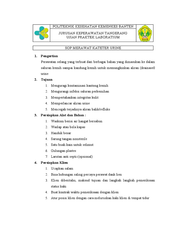 SOP Dan LO Merawat Kateter Urine | PDF