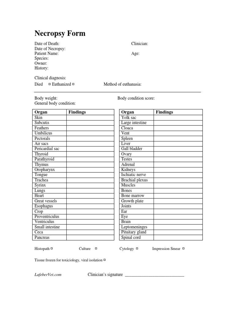 Avian Necropsy Report - Patient Name, Age, Date of Death | PDF