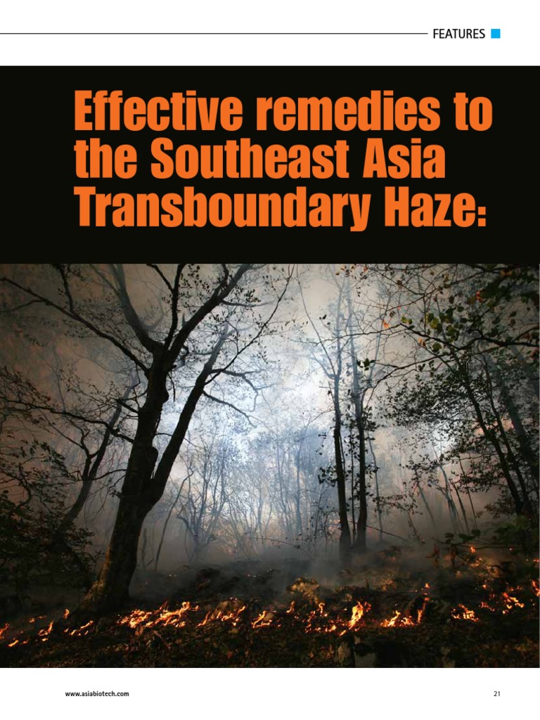Effective Remedies To The Southeast Asia PDF | PDF | Deforestation ...