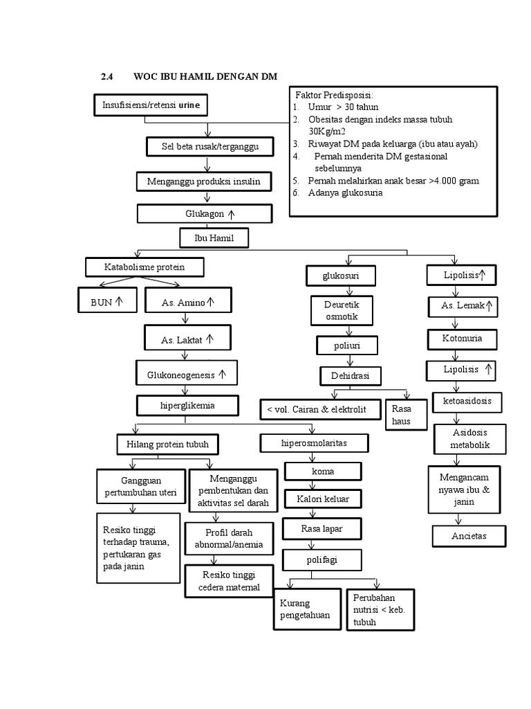 Woc Ibu Hamil Dengan DM | PDF