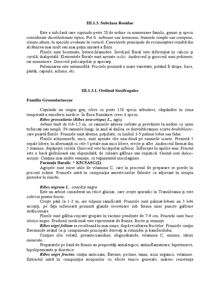 Încreng Angiosperme Subclasa Rosidae 1 PDF | PDF