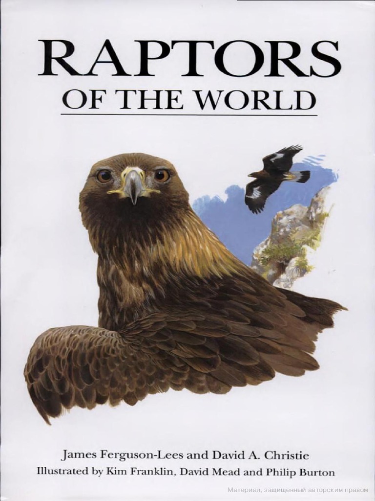 Raptors of The World. An Identification Guide To The Birds of Prey of ...
