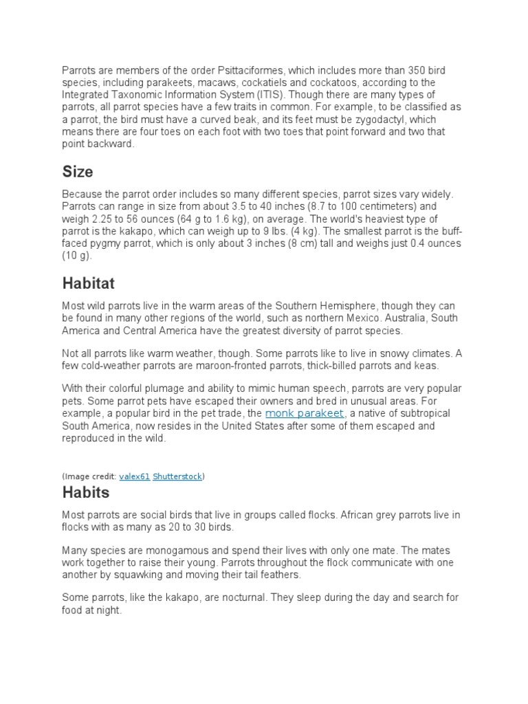 Parrots | PDF | Parrot | Birds