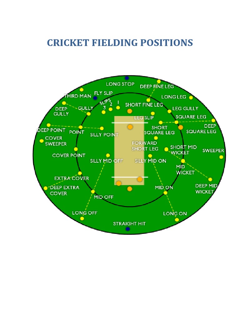 Cricket Fielding Positions | PDF