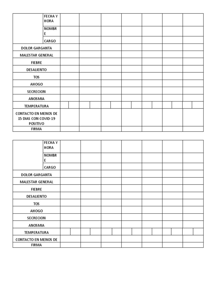 Diseño Formato | PDF