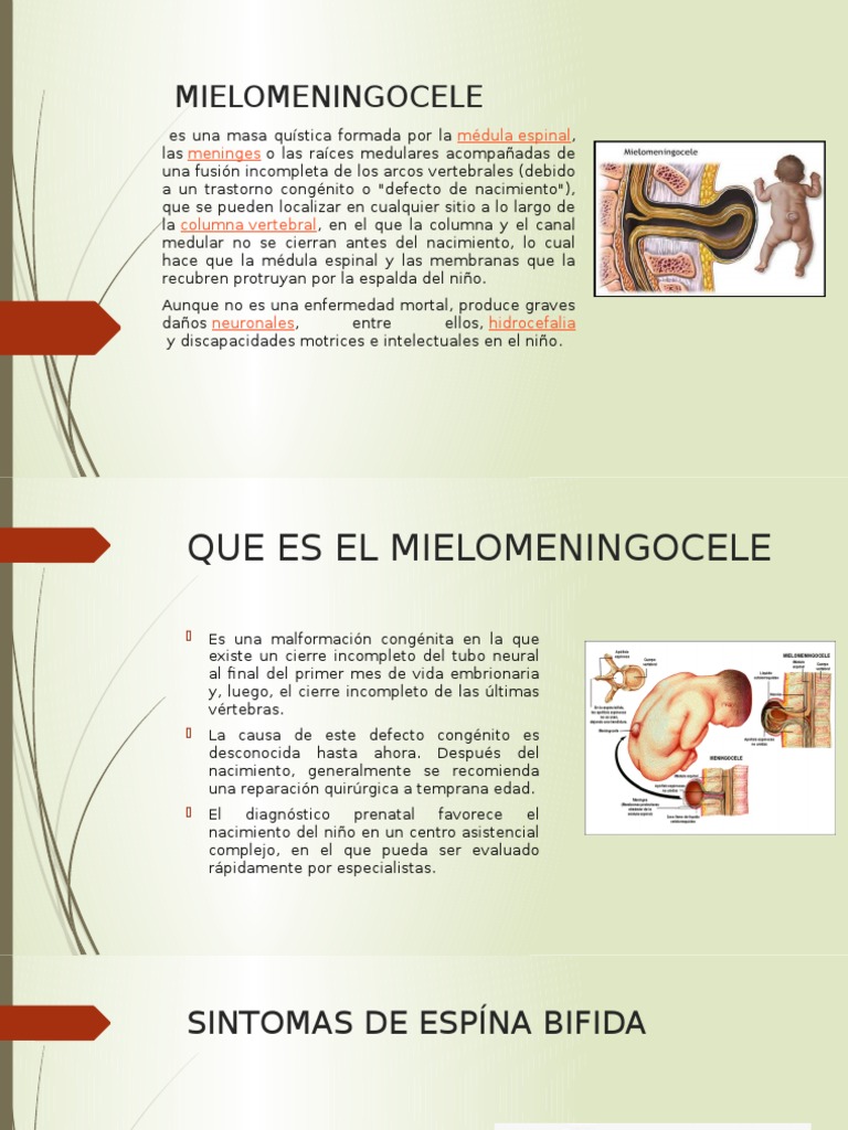 MIELOMENINGOCELE | PDF | Enfermedades y trastornos humanos | Sistema nervioso